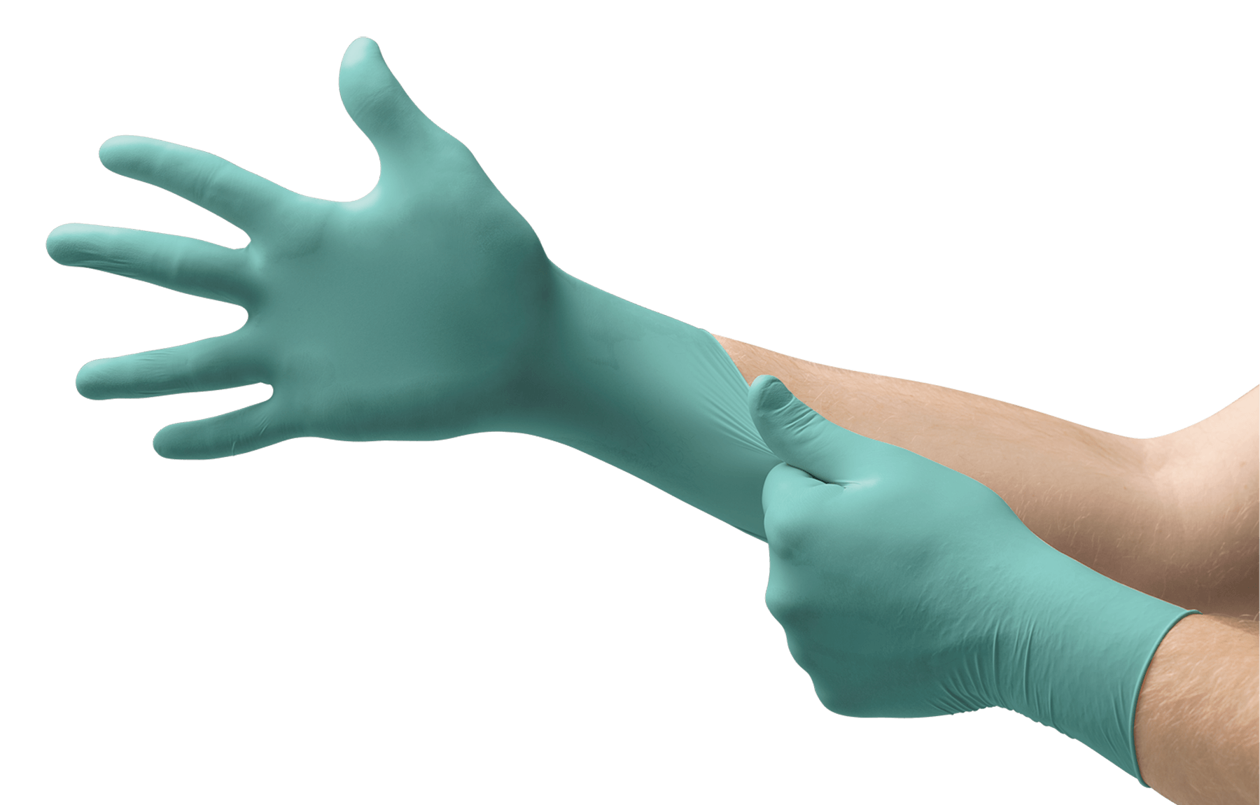 Disposable Gloves | Health & Safety | Primepac